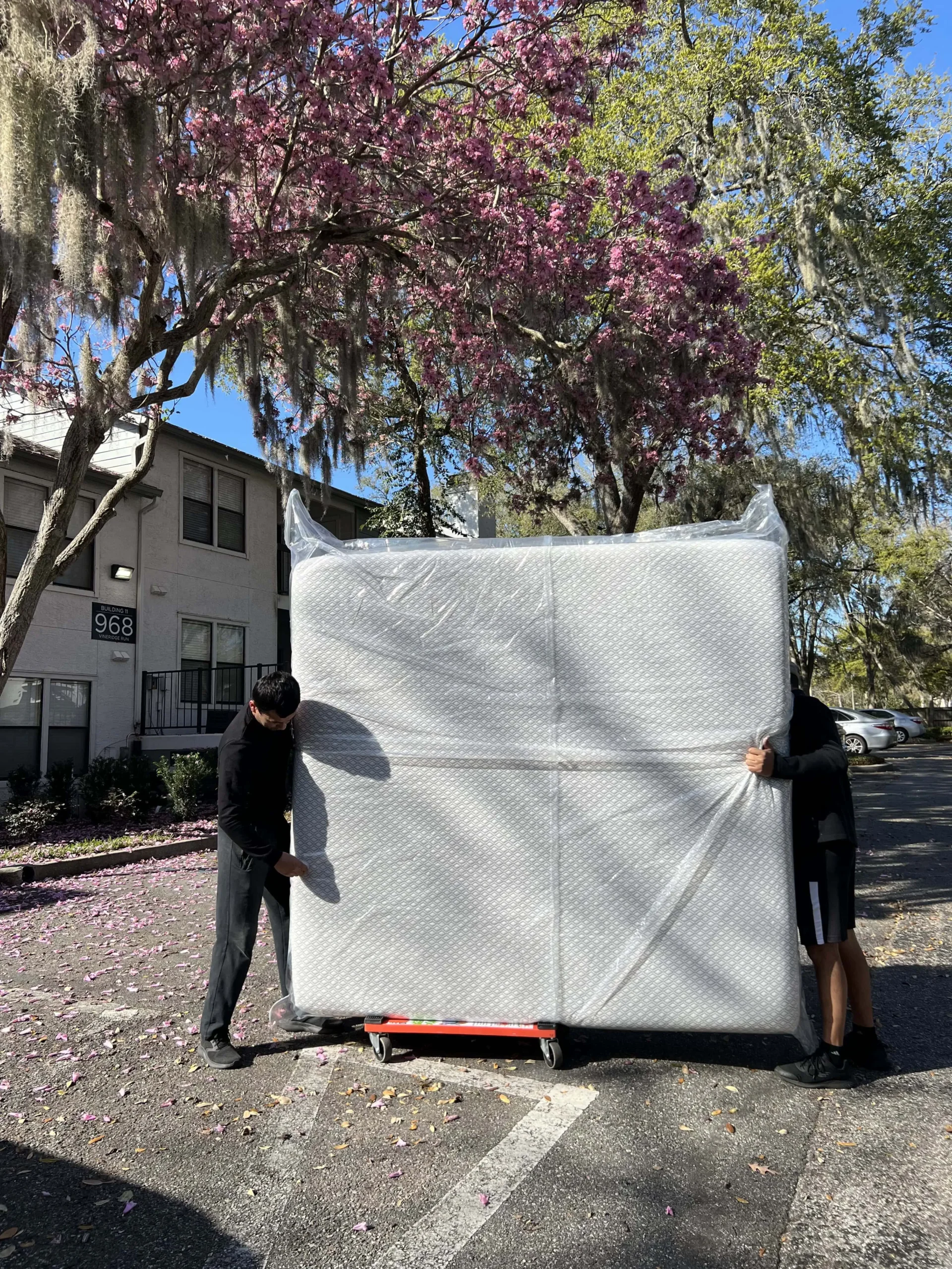 Eco-Friendly Moving: How to Reduce Waste and Make Your Orlando ...