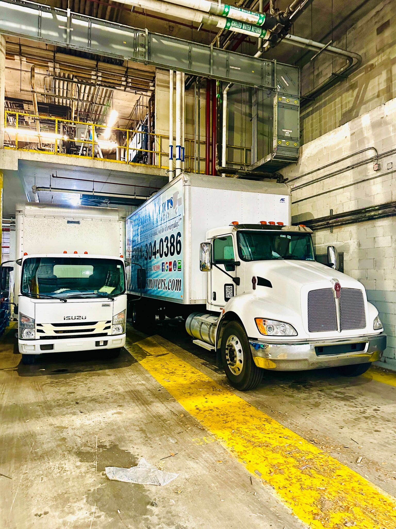 Eco-Friendly Moving: How to Reduce Waste and Make Your Orlando ...